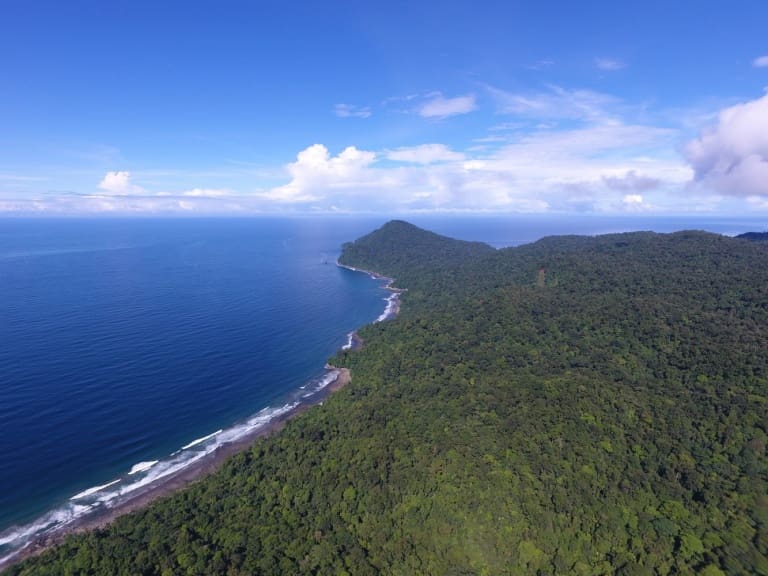 Colombia’s Largest Regional Protected Area Created in Bajo Baudó ...