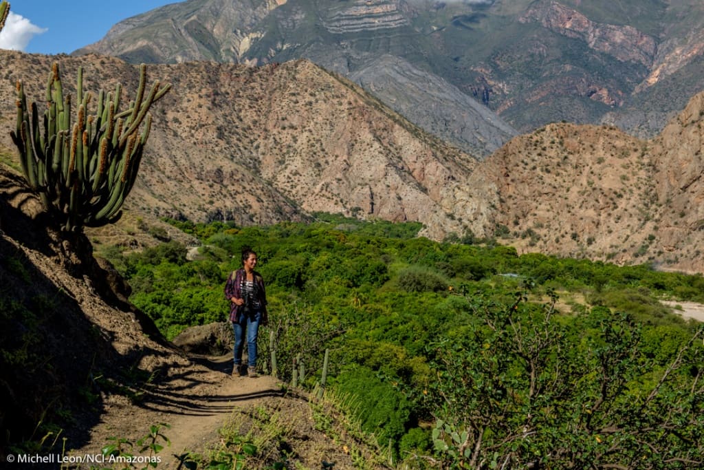 Peru Declares New Conservation Area Protecting Almost 200 Species Found ...