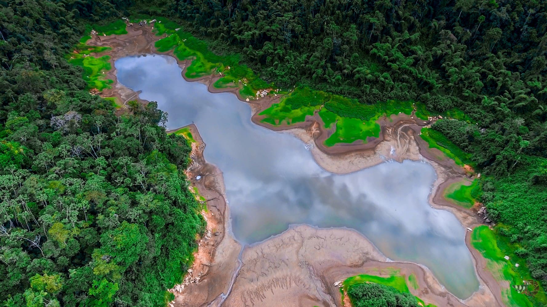 Huamboya Municipal Conservation Area Protects Critical Ecosystems in ...