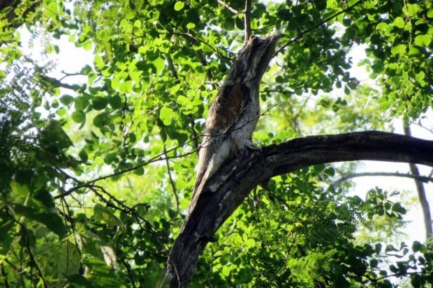 The first state reserve in Sinaloa, Mexico » Nature and Culture ...