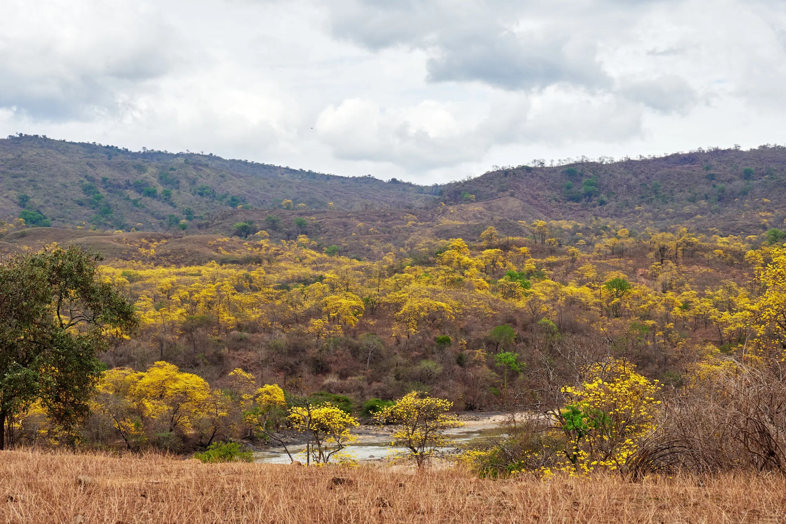 The Cazaderos Nature Reserve in Ecuador | Nature and Culture