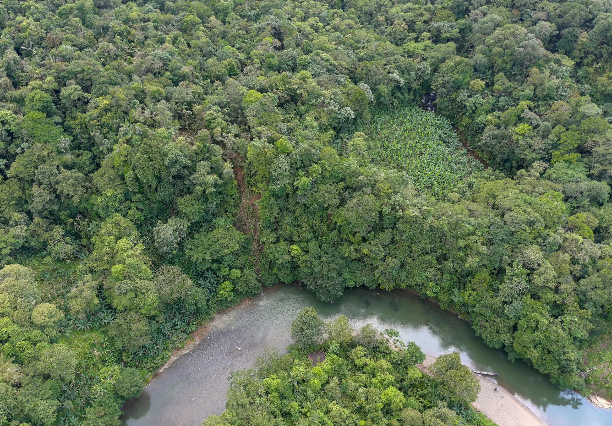 New protected area in Chocó driven by Afro-Colombian communities
