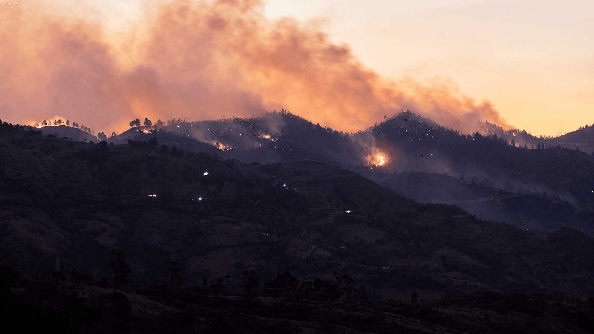 Record Breaking Fires Highlight the Importance of Protected Area ...