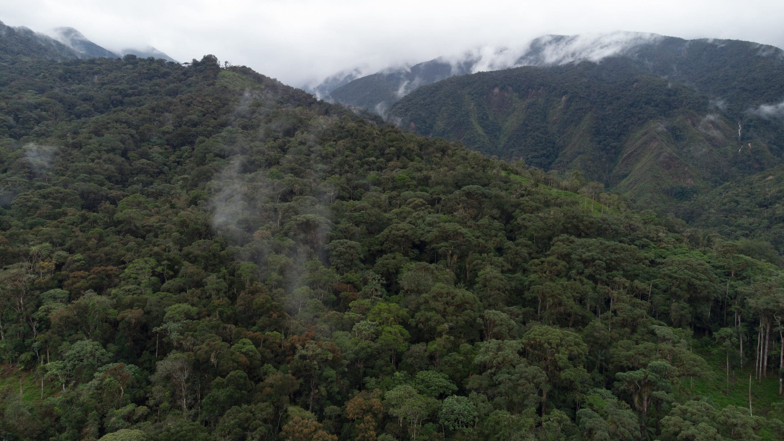 Se conforma Comité de Gestión del Corredor de Conservación Andes del Norte