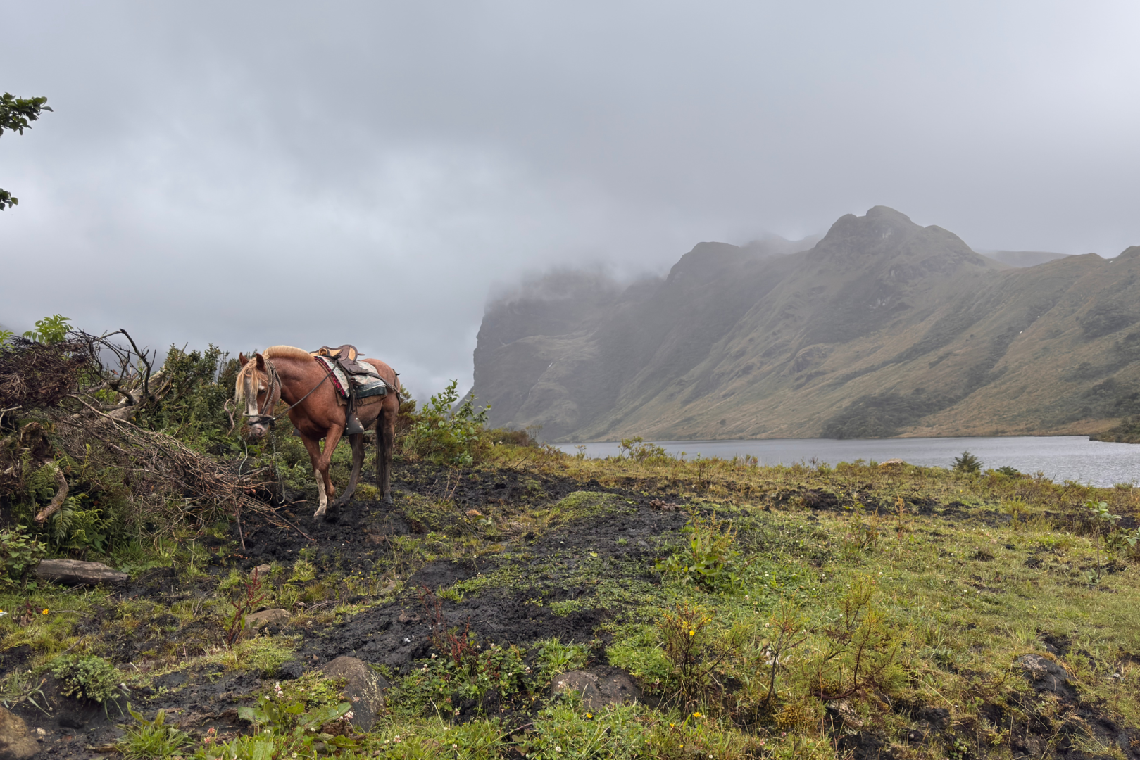 A Visit to the Peruvian Side of the Andes–Amazon Conservation Corridor ...